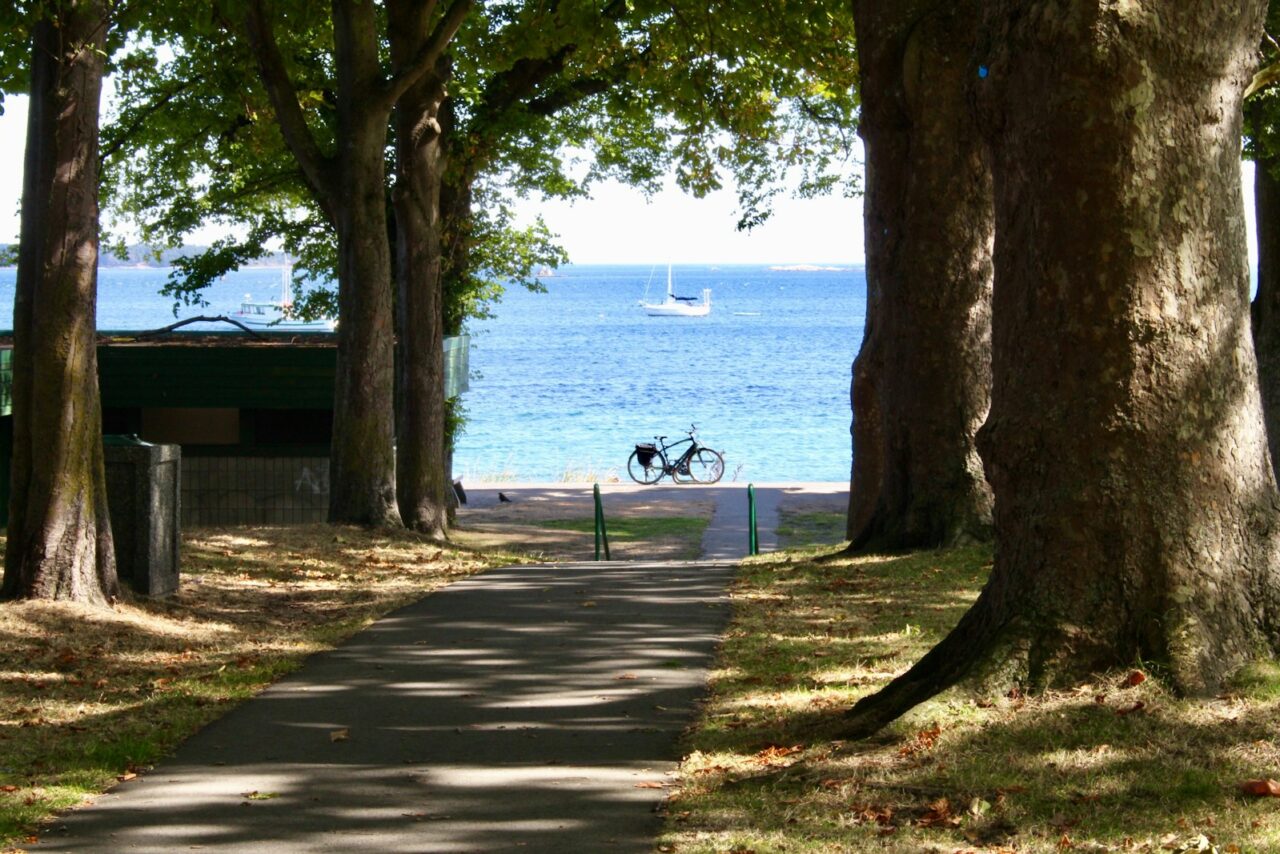 Top 5 Scenic Bike Trails in Myrtle Beach for Your Next Ride