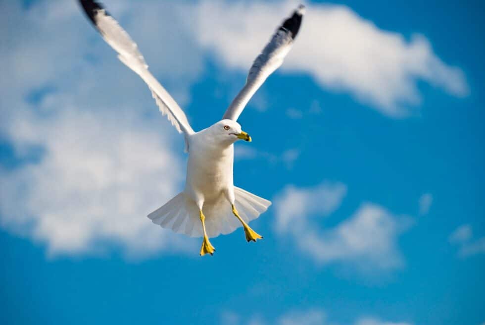 Top 5 Scenic Bike Trails in Myrtle Beach for Your Next Ride